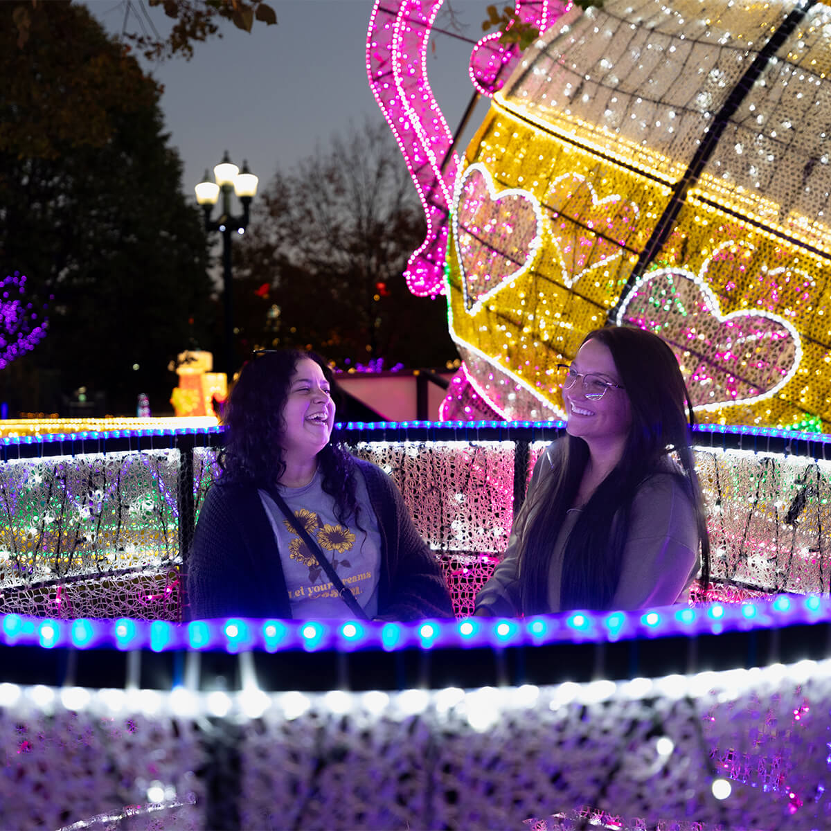 Garden of Lights – Alice in Wonderland Ohio