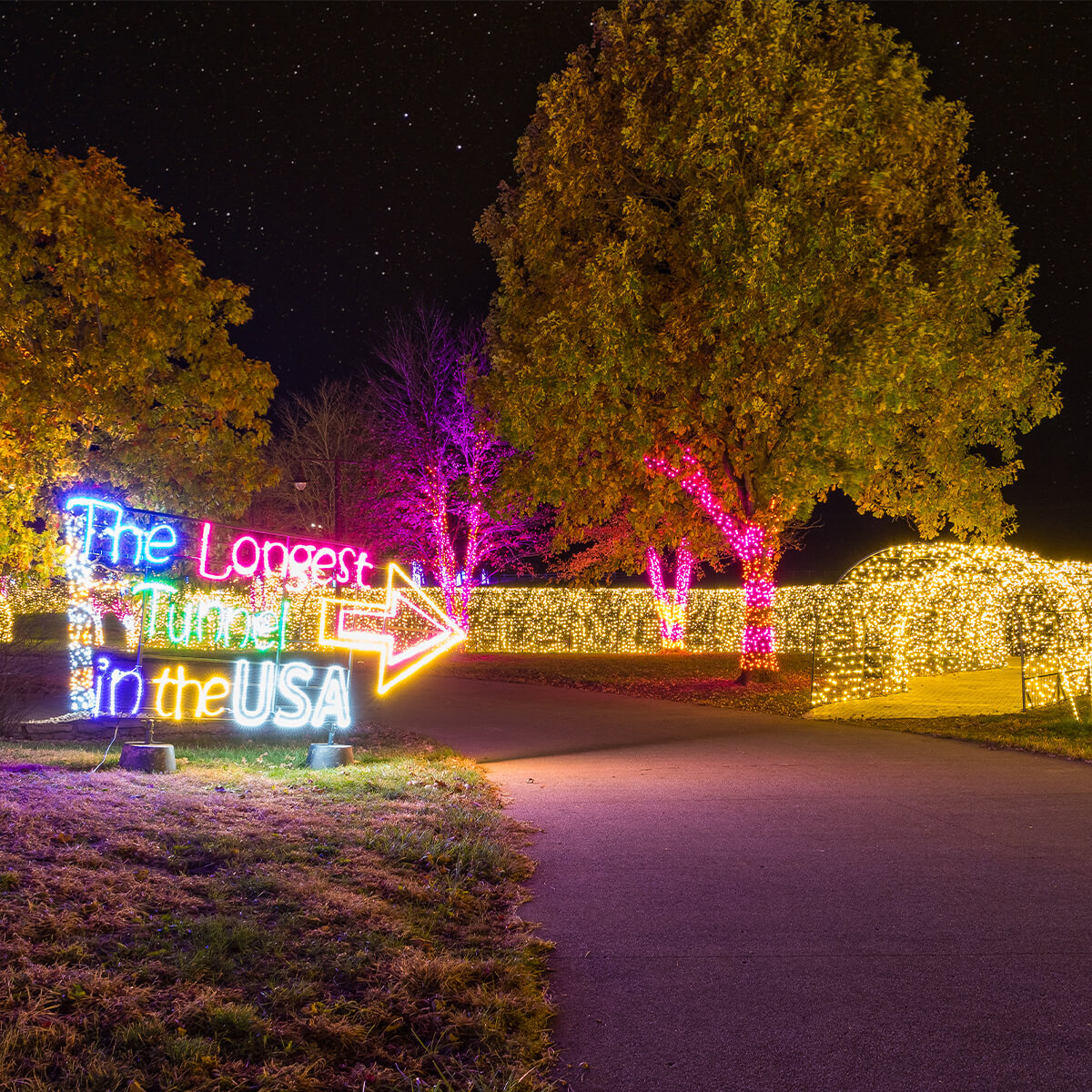 Garden of Lights – Alice in Wonderland Ohio